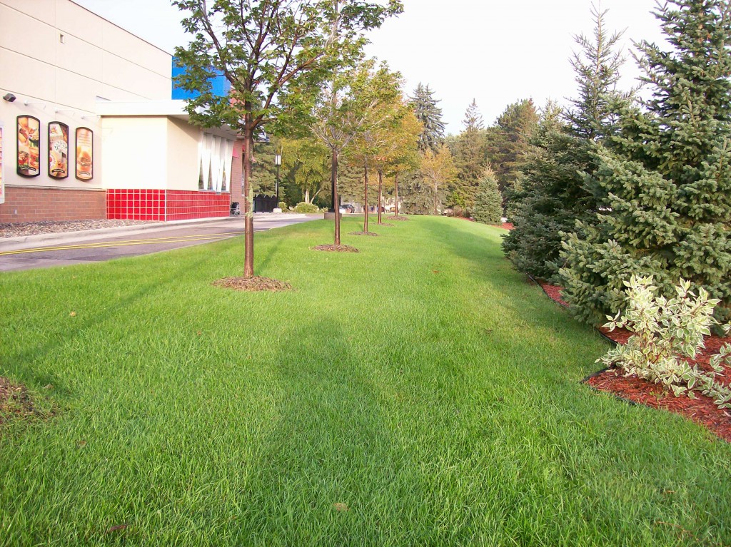 | Advanced Irrigation, Inc.